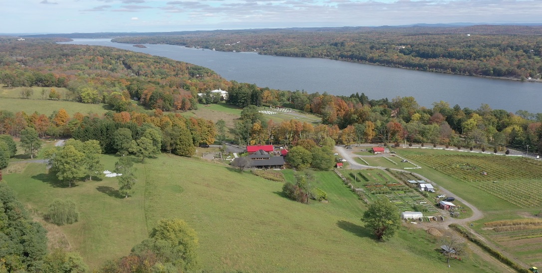 Red Maple Vineyard | The Ulster County Film Office